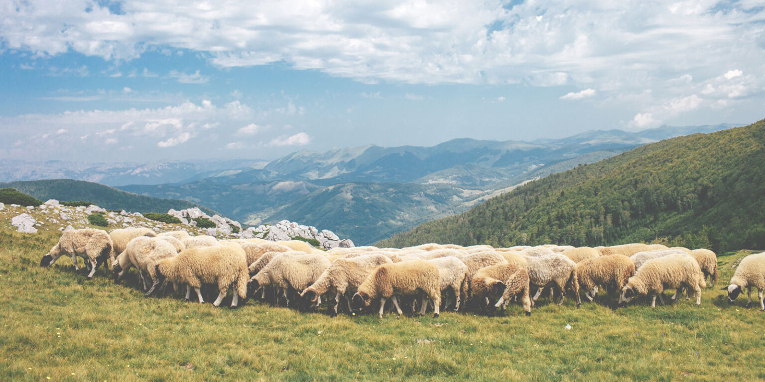 A Biblical View of Dominion: Stewardship - Institute for Faith and Culture
